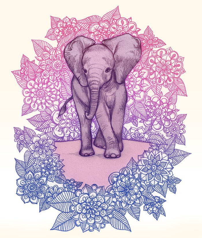 Elephant Drawing Tumblr Colorful